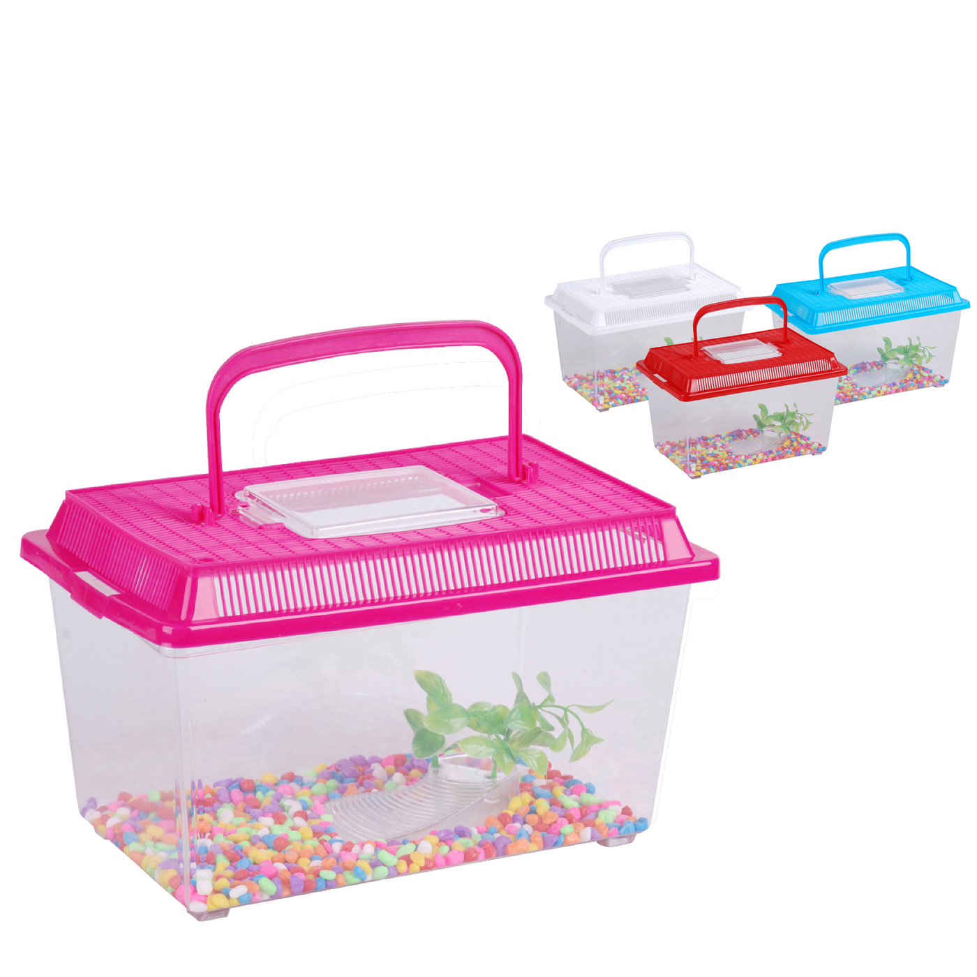 Small Fish Tank 27cm Bright Colour With Pebbles & Small Plant Frogs Li ...